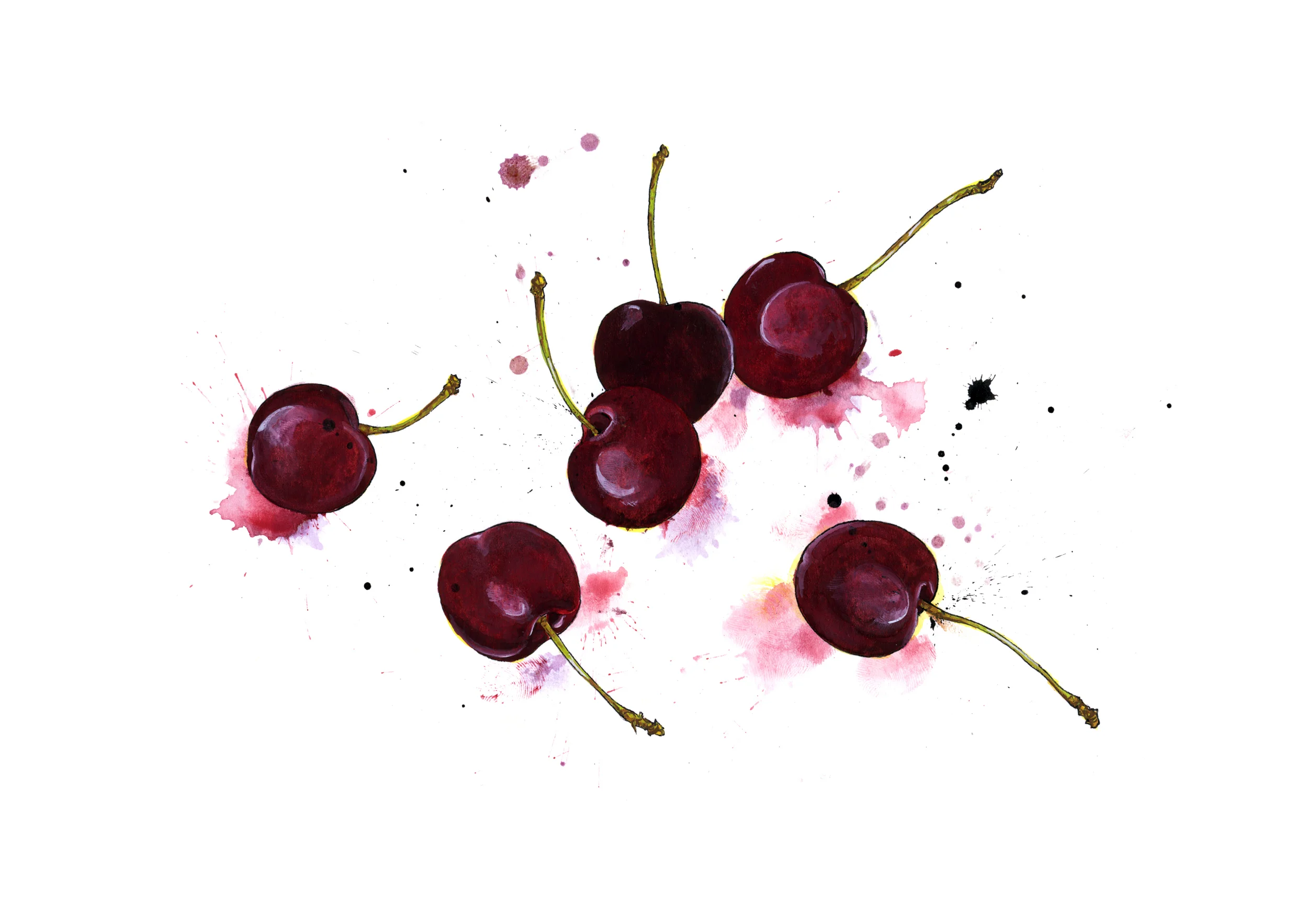 Shop — Emma Dibben Illustration