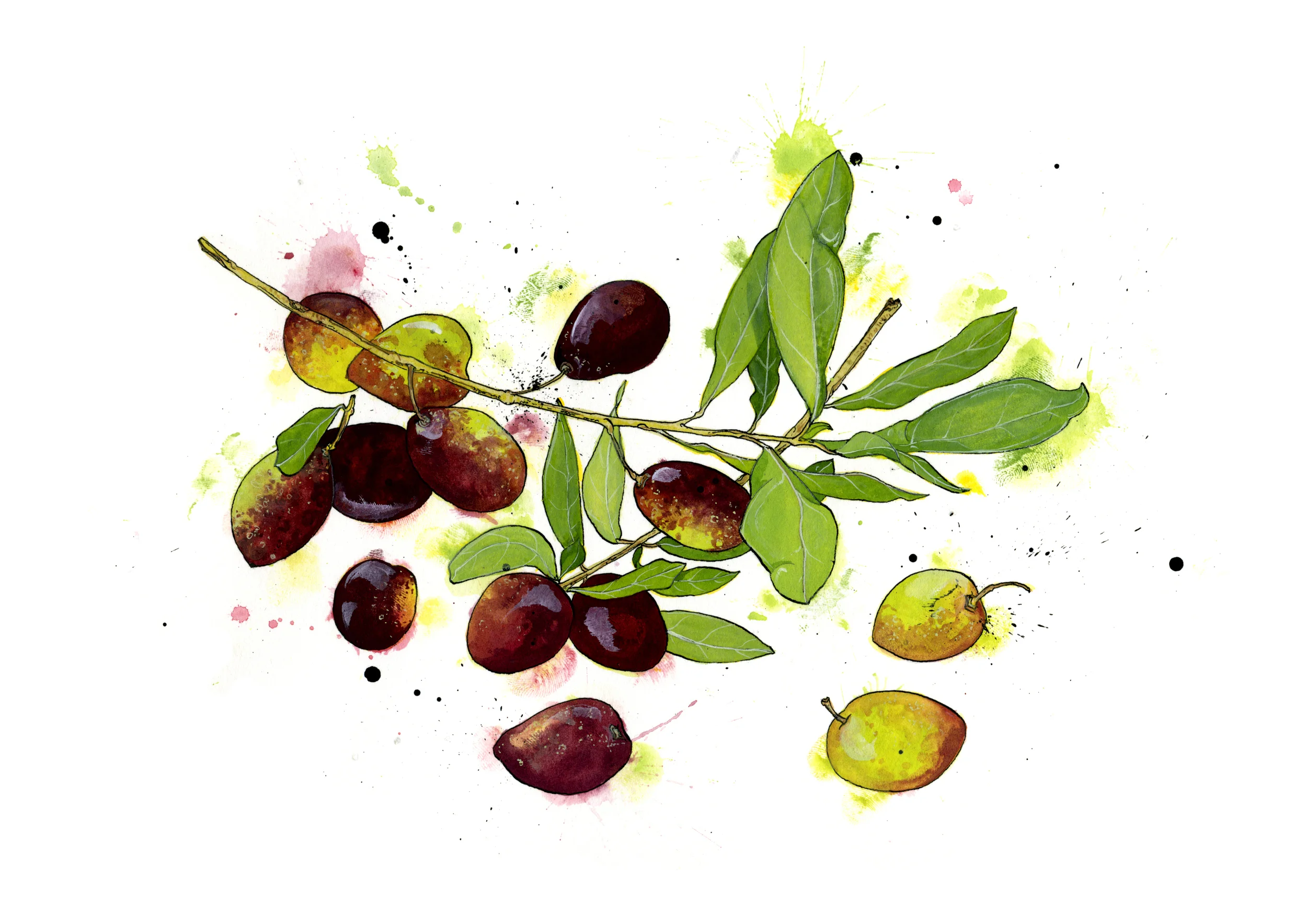 Shop — Emma Dibben Illustration