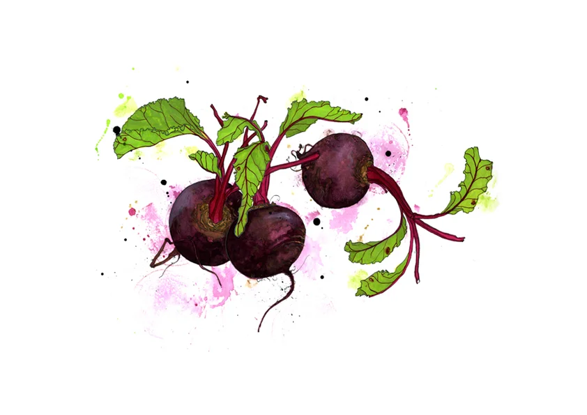 Shop — Emma Dibben Illustration