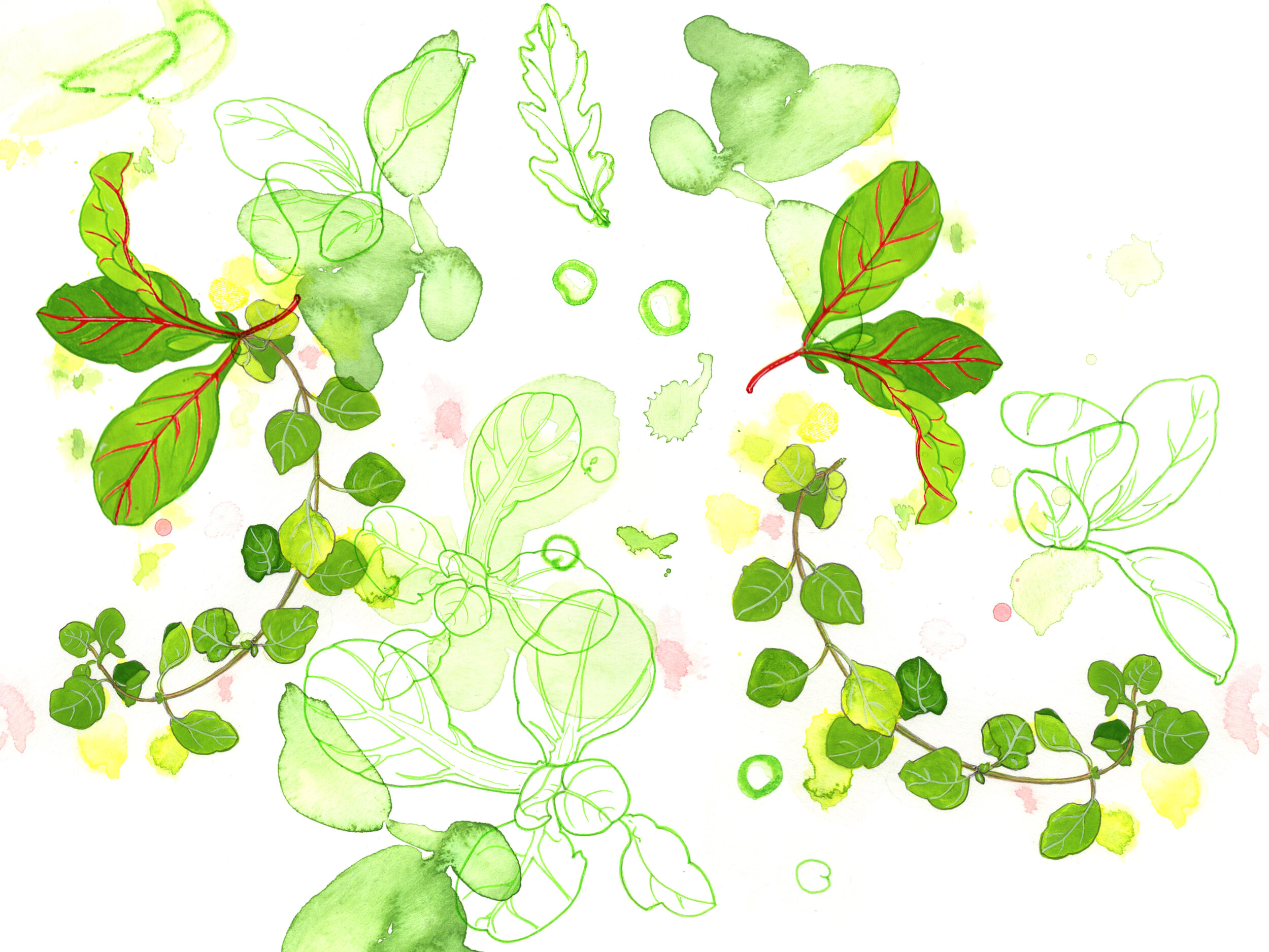 Emma Dibben Illustration