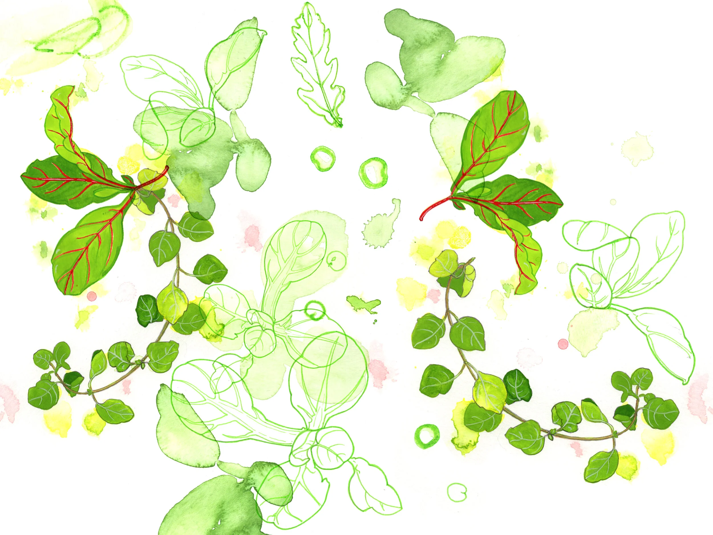 Emma Dibben Illustration