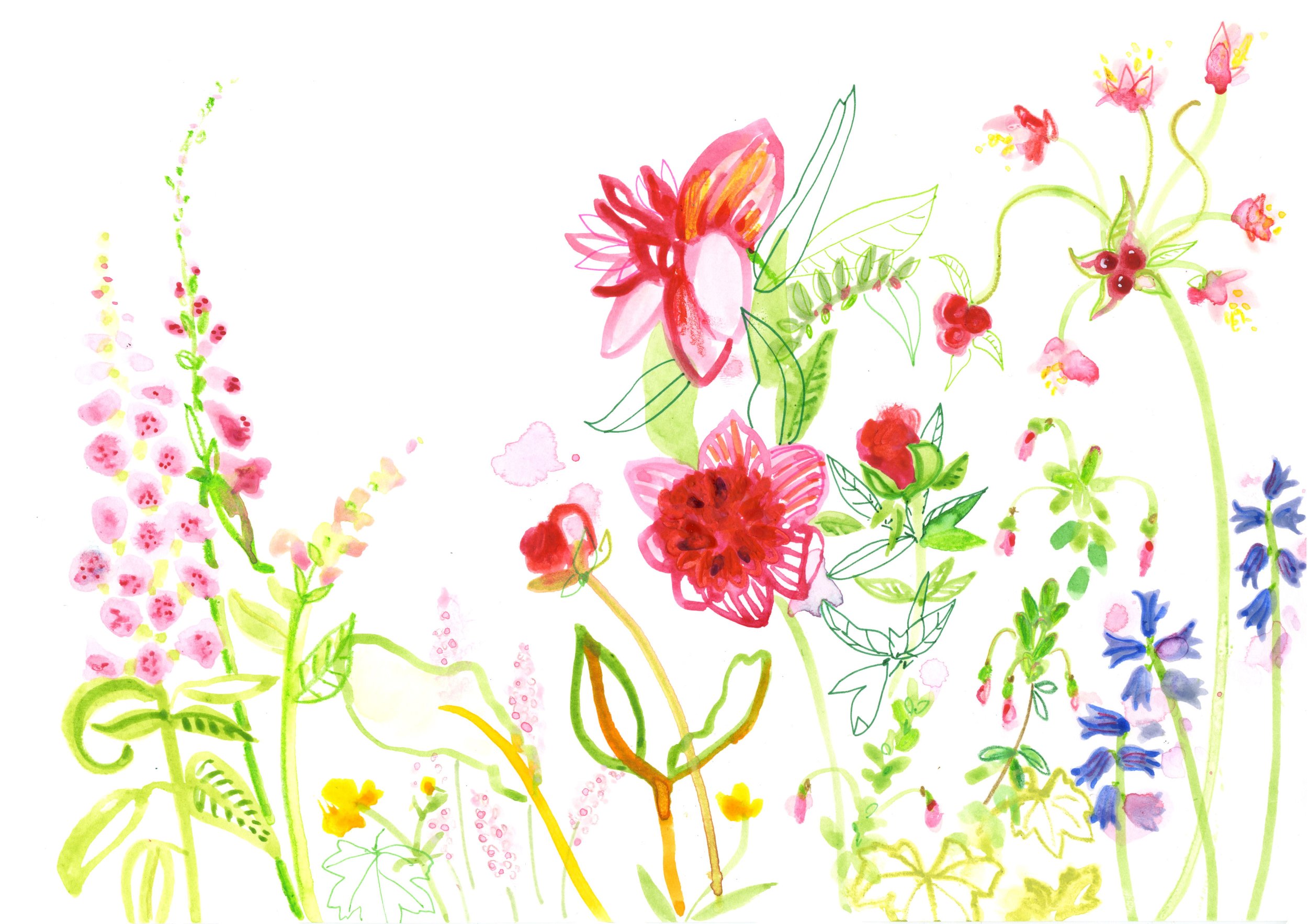 Emma Dibben Illustration