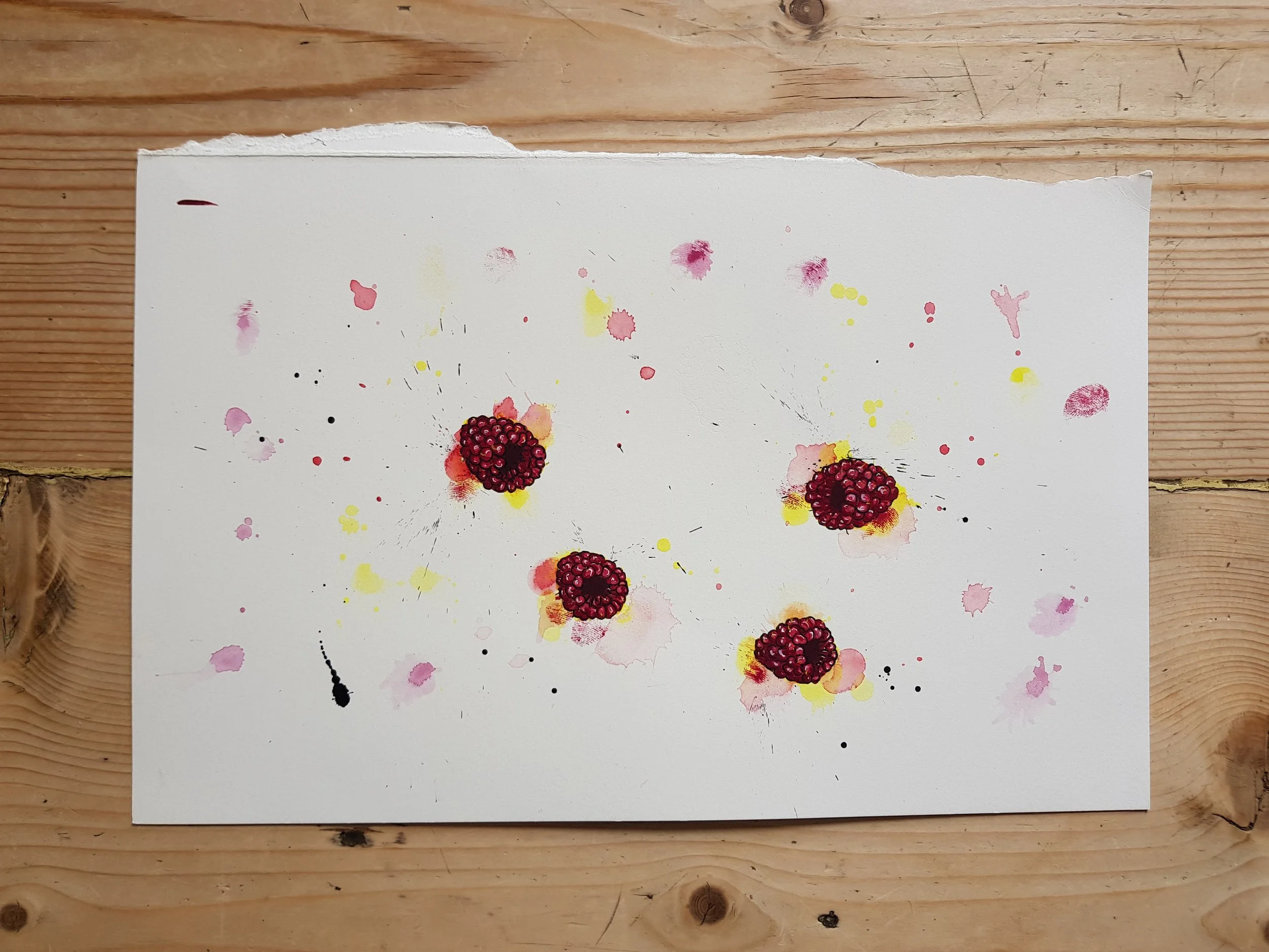 Raspberries — Emma Dibben Illustration