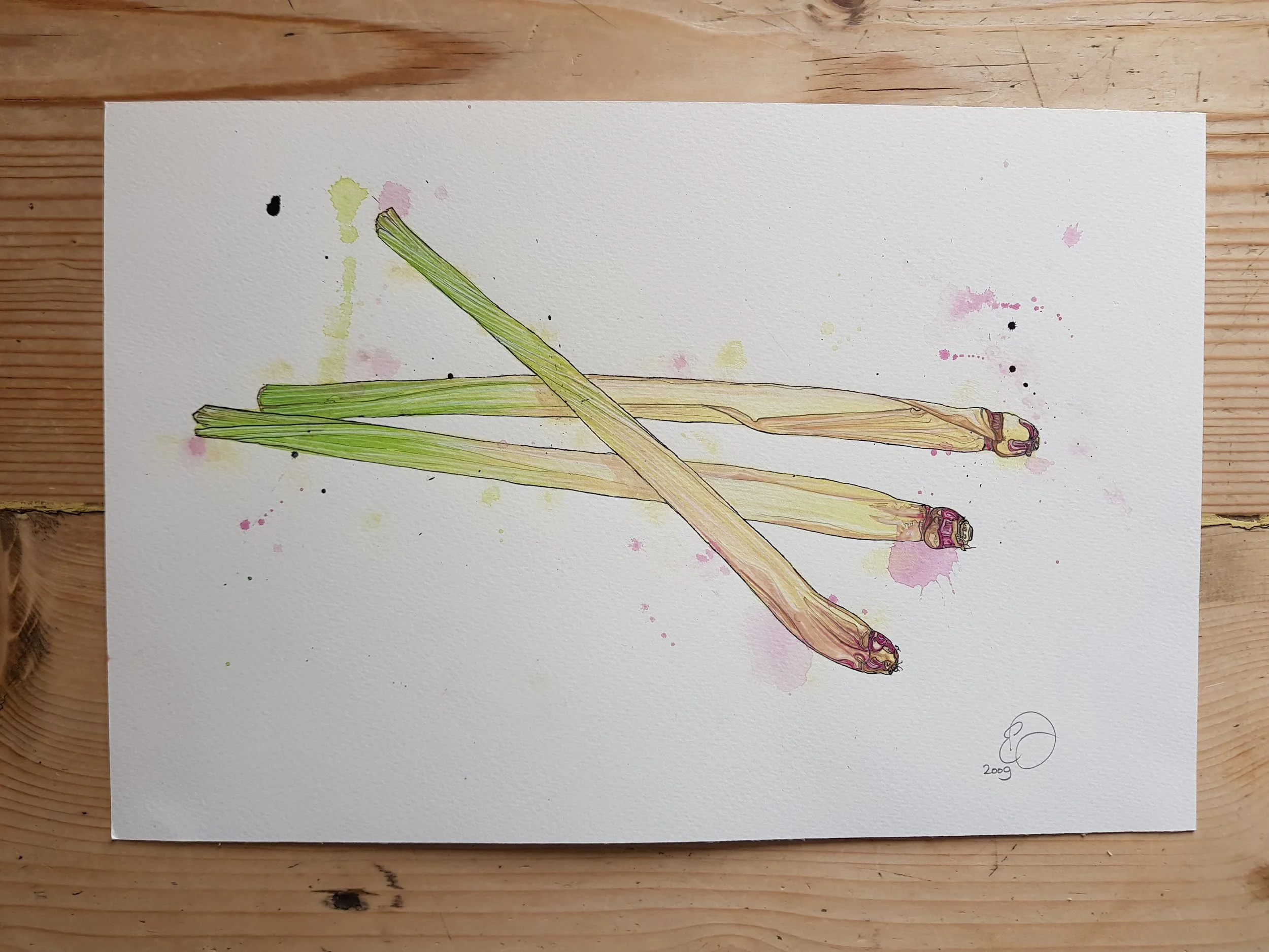 Lemongrass — Emma Dibben Illustration