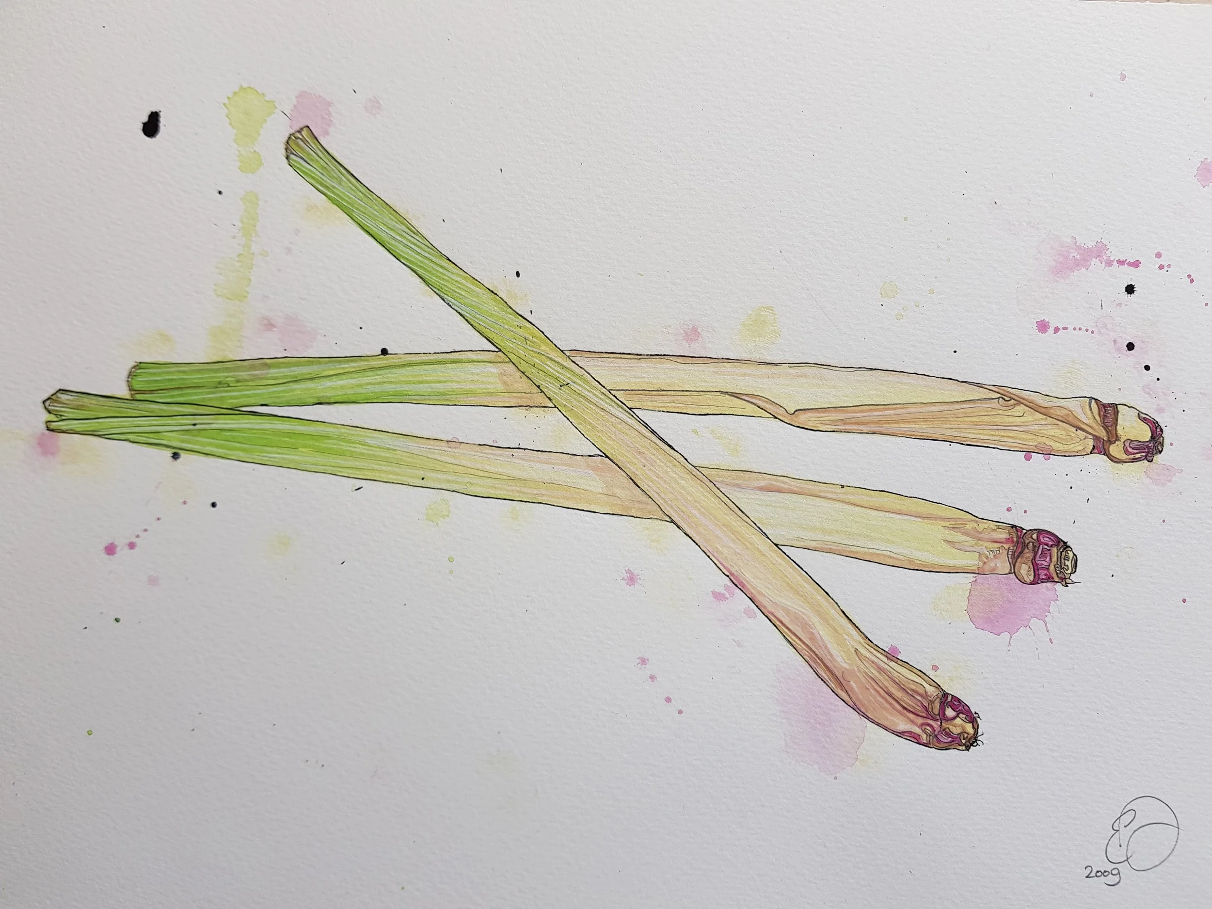Lemongrass — Emma Dibben Illustration