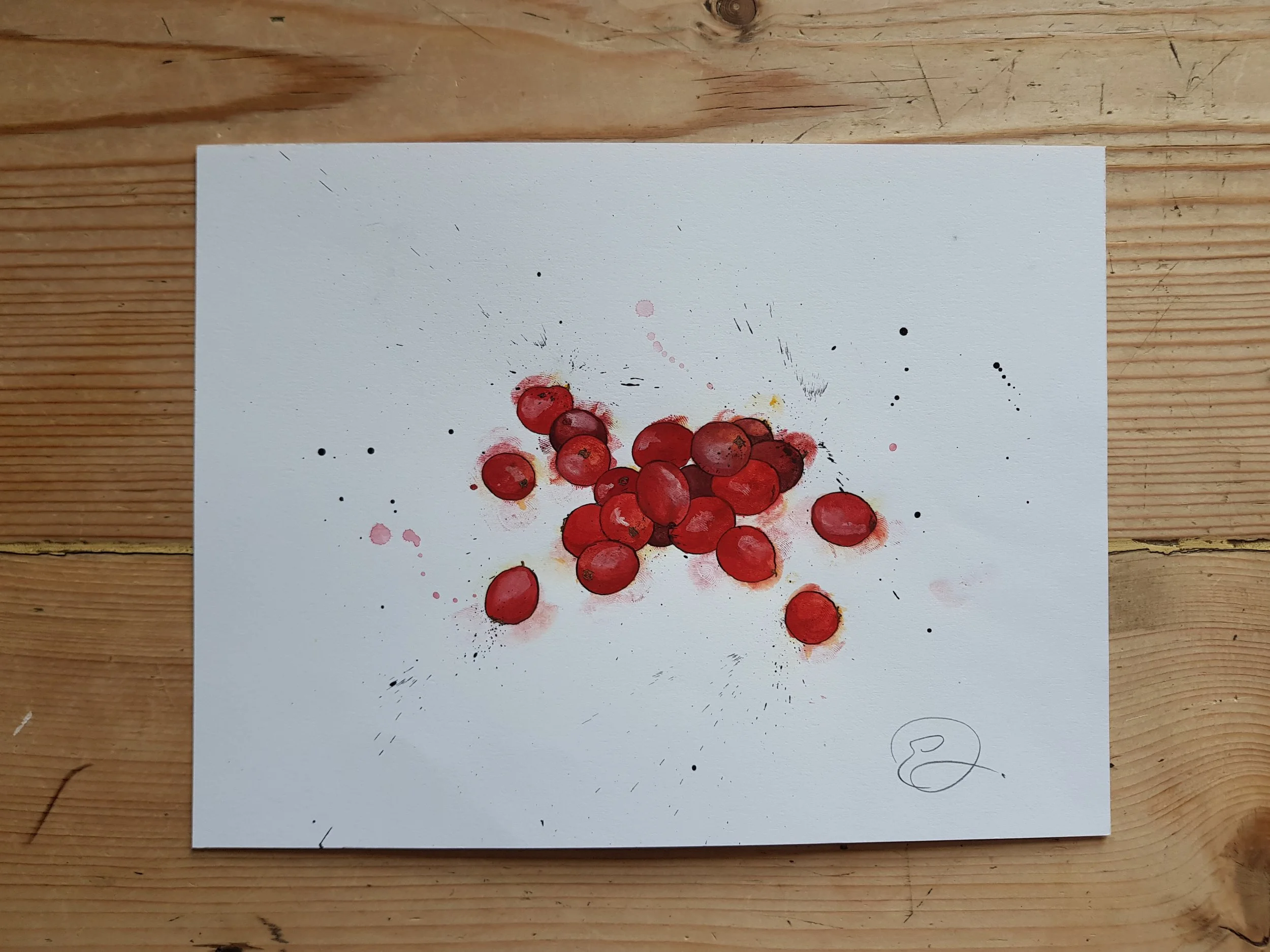 Cranberries — Emma Dibben Illustration