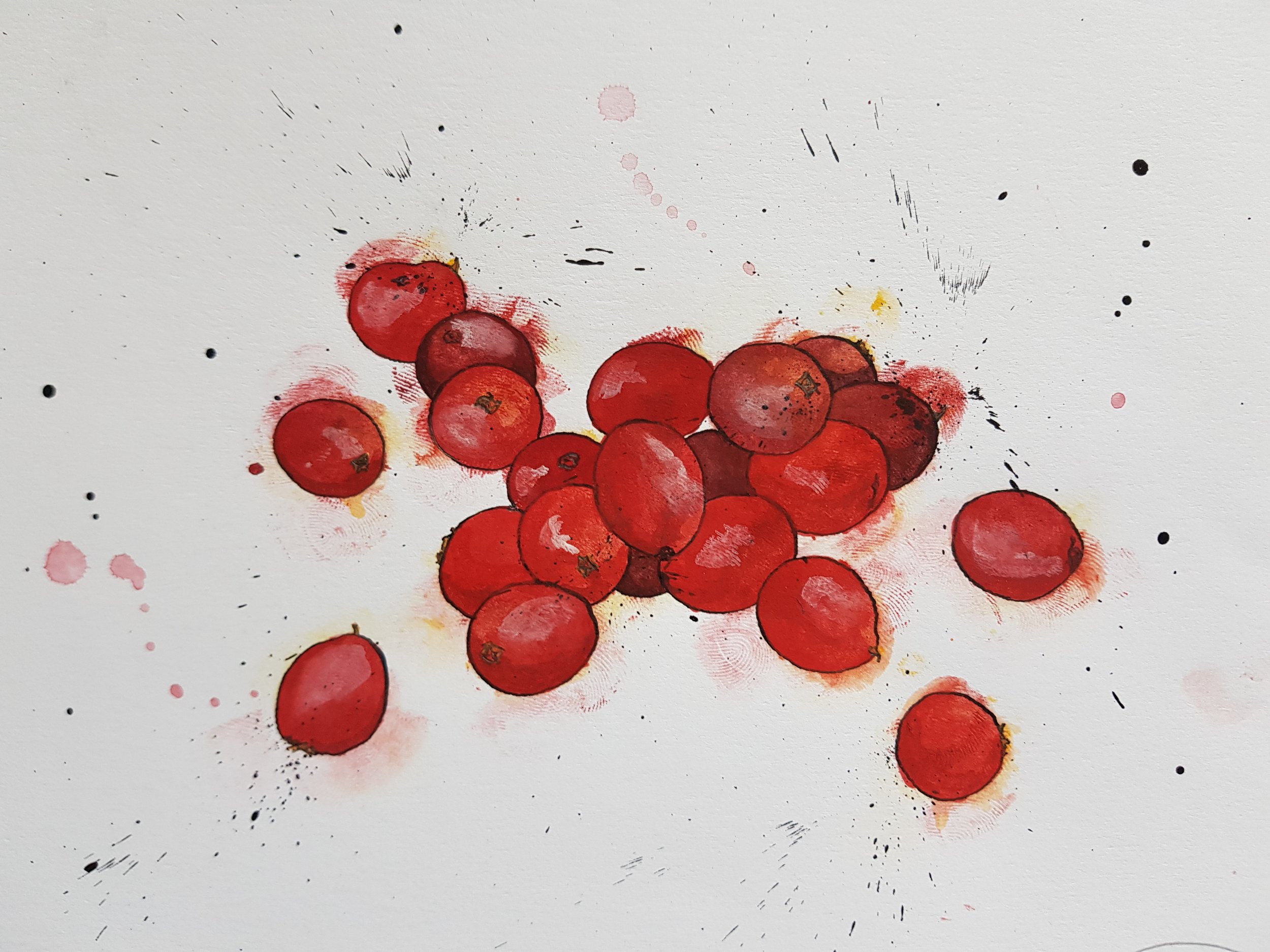 Cranberries — Emma Dibben Illustration