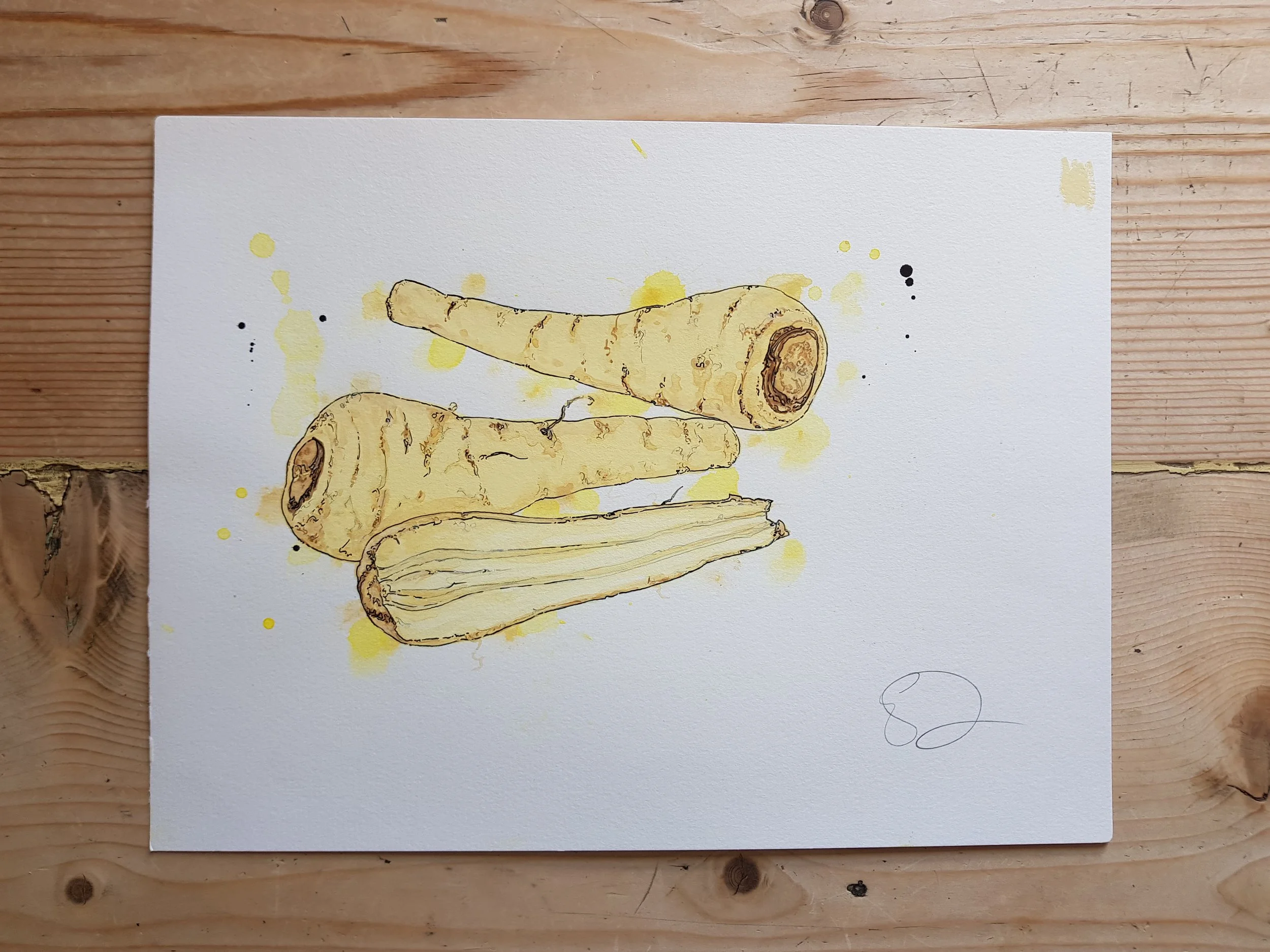 Parsnips — Emma Dibben Illustration