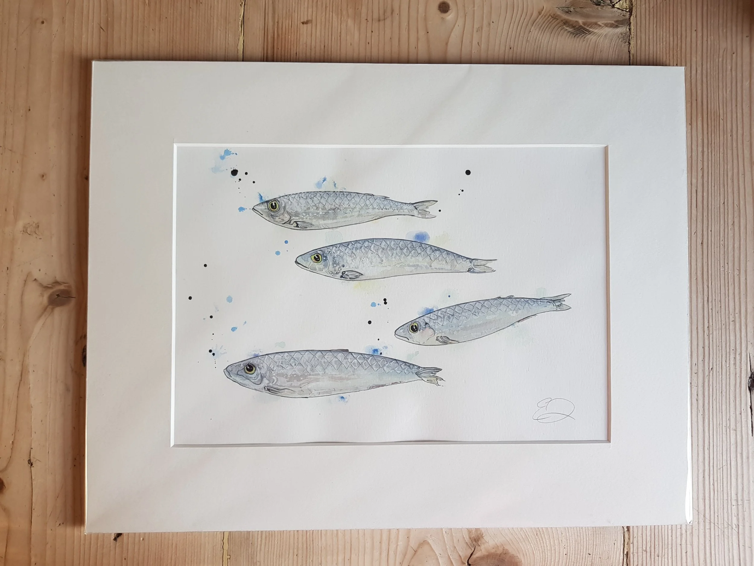 Sardines — Emma Dibben Illustration