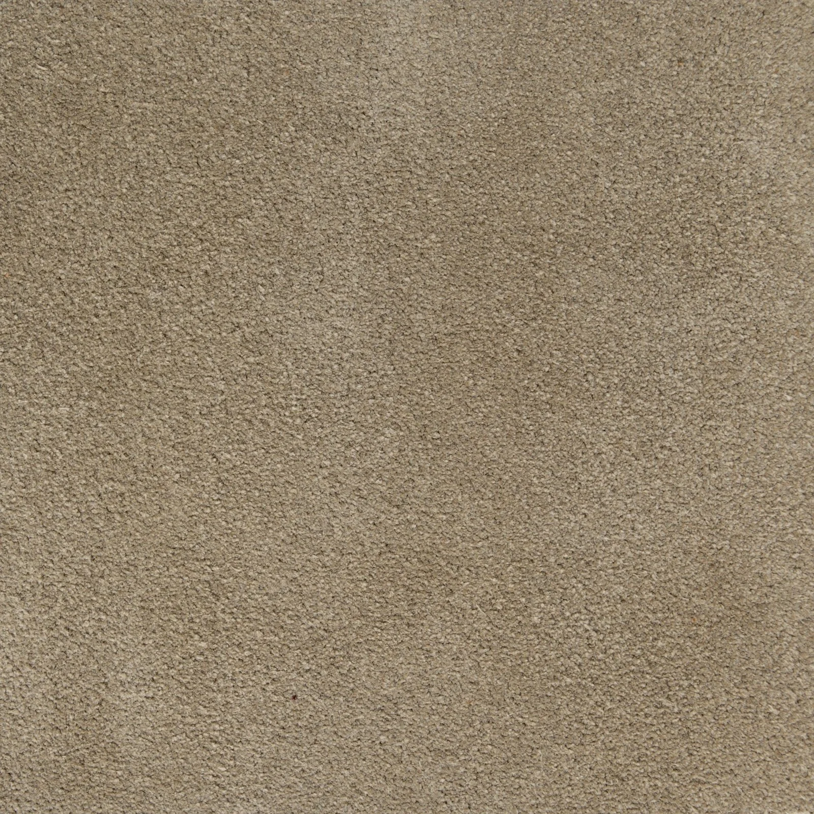 Suede finishes — Salgado Saucier