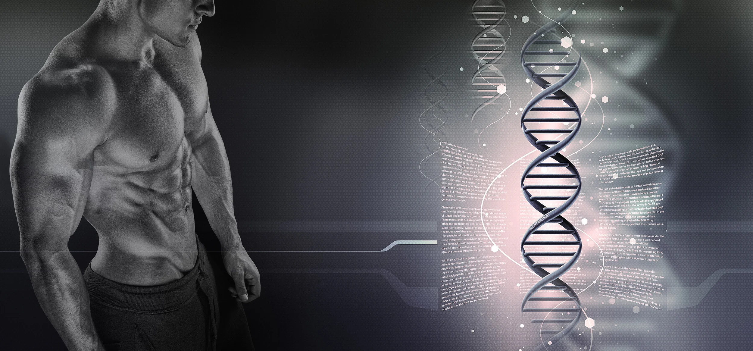 About Dr. Joel Seedman — Advanced Human Performance Official Website ...