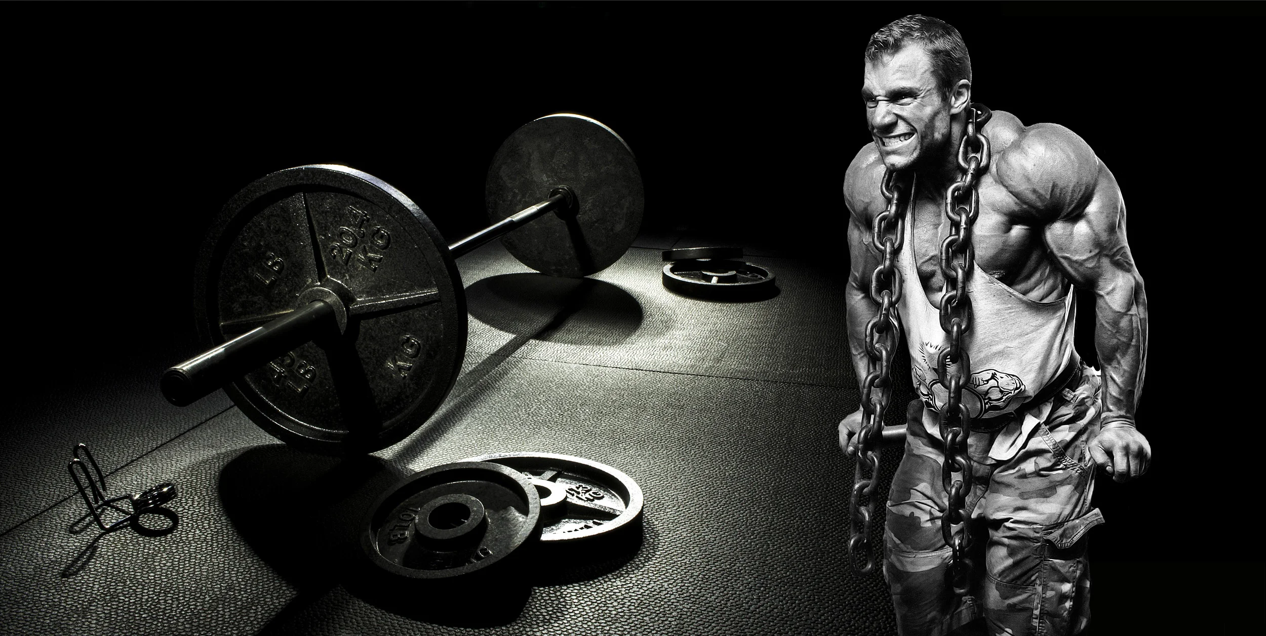 Dips: You're Doing Them Wrong — Advanced Human Performance Official ...