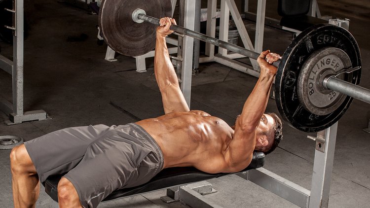 T-Bench, Neck Bridge Chest Press for Technique & Size — Advanced Human ...