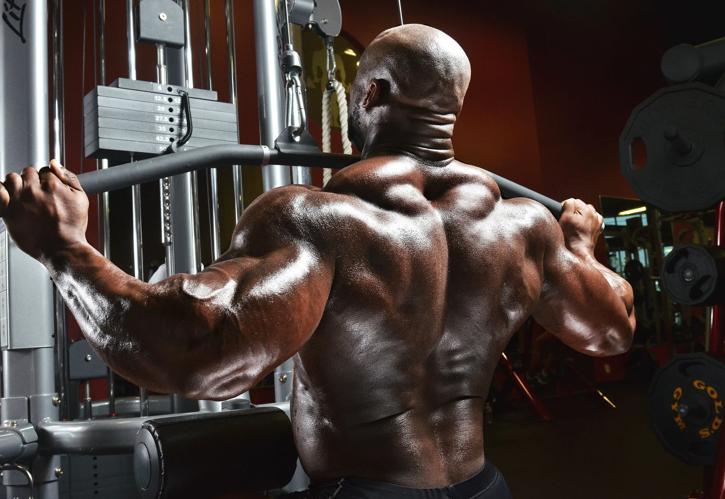 50 Renegade Rows You've Never Done — Advanced Human Performance ...