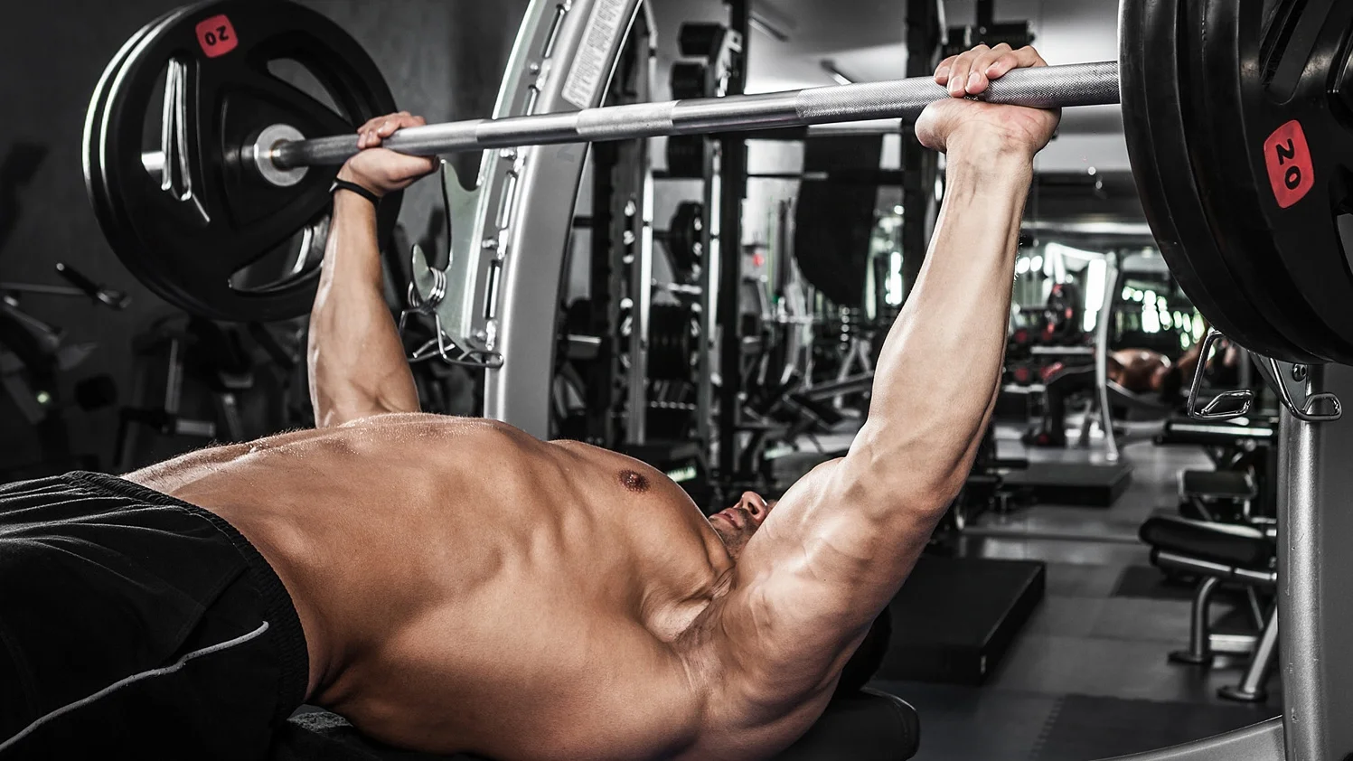 T-Nation — Advanced Human Performance Official Website | Home of Dr ...