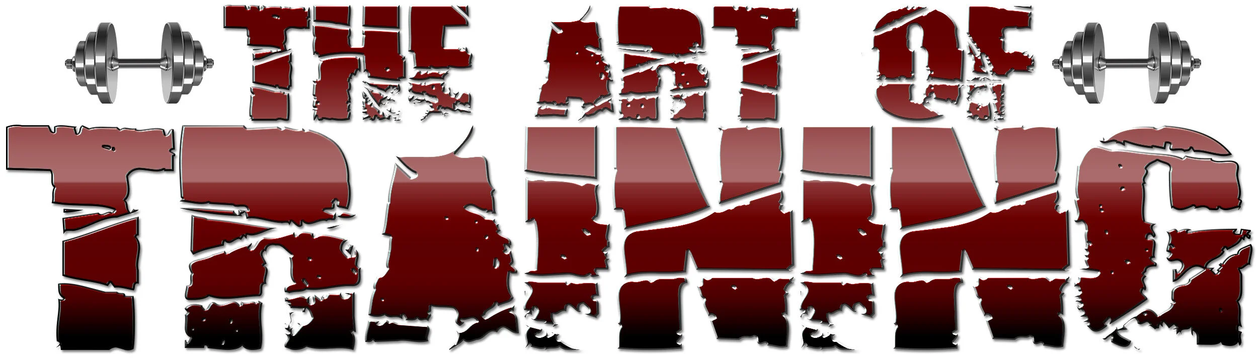 The Art of Training — Advanced Human Performance Official Website ...