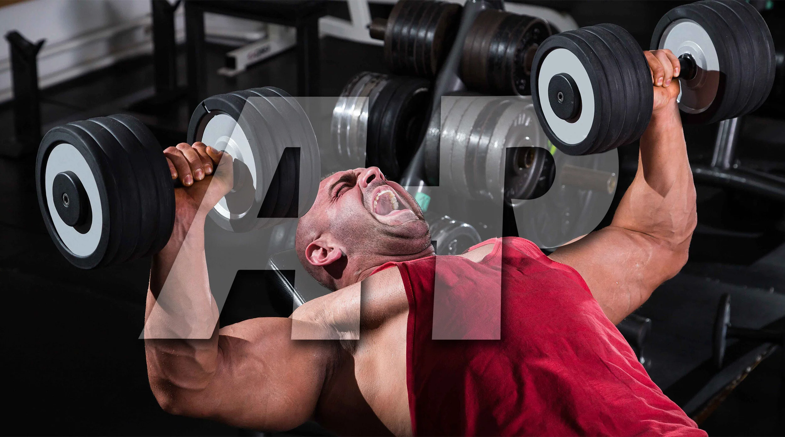Overcoming Isometrics for Strength, Size, & Performance — Advanced ...