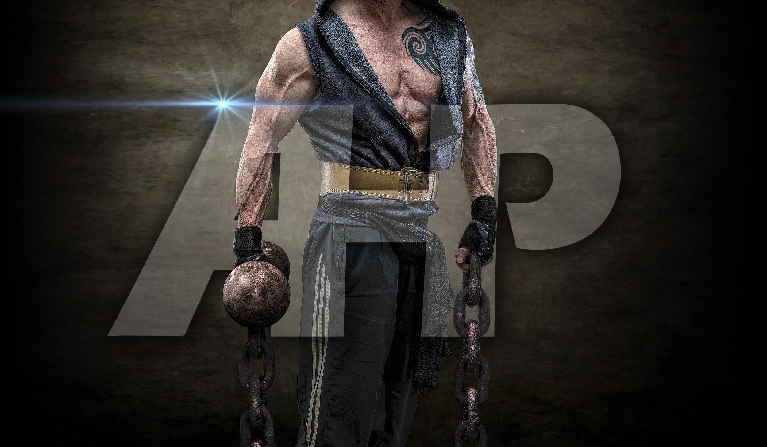 Build Traps & Back with These Rack Pulls — Advanced Human Performance ...