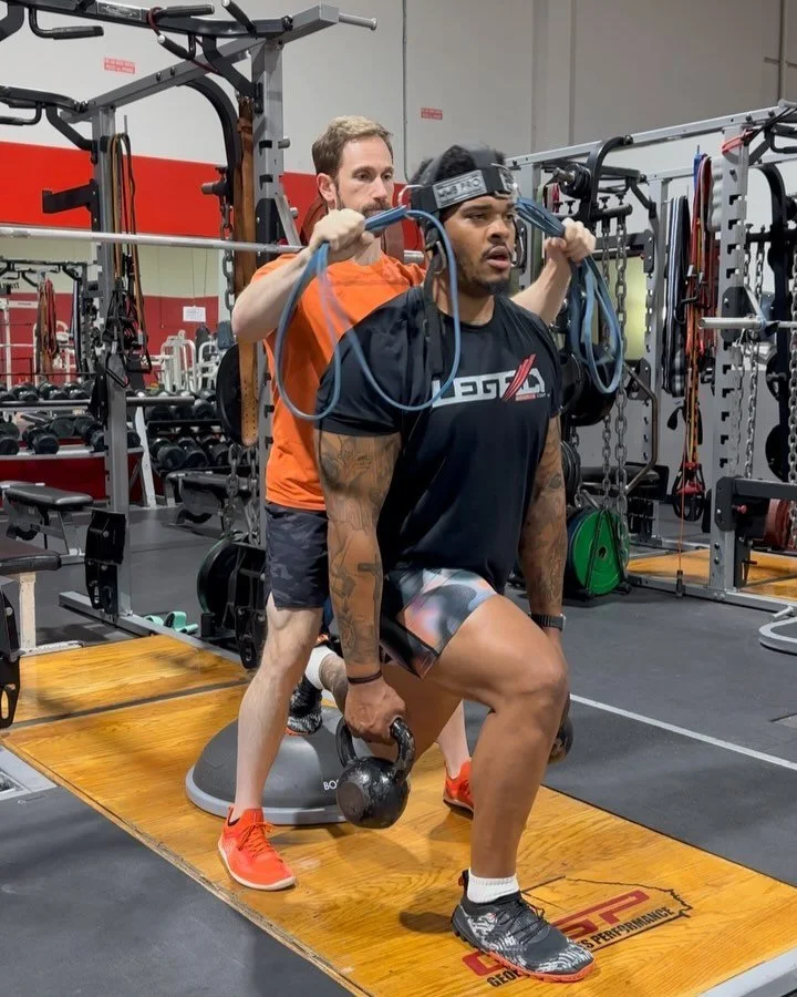 Functional Stability and Mobility Training Redefined — Advanced Human ...