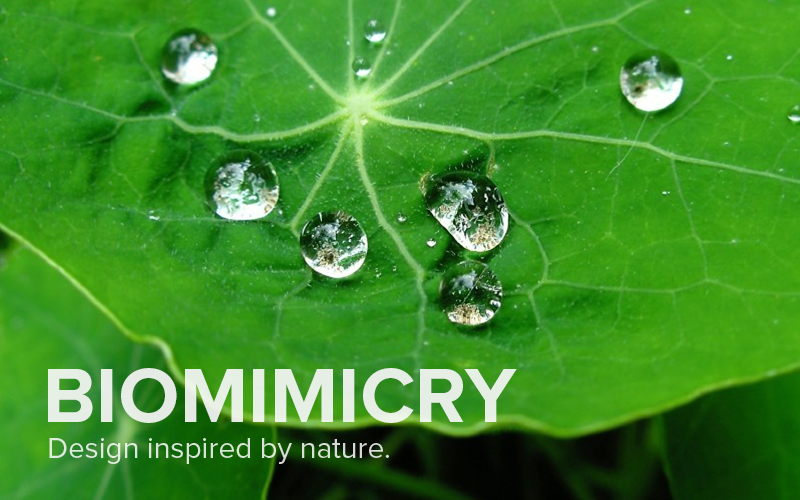 Technology Designed As Elegantly As Nature — Hone.pd