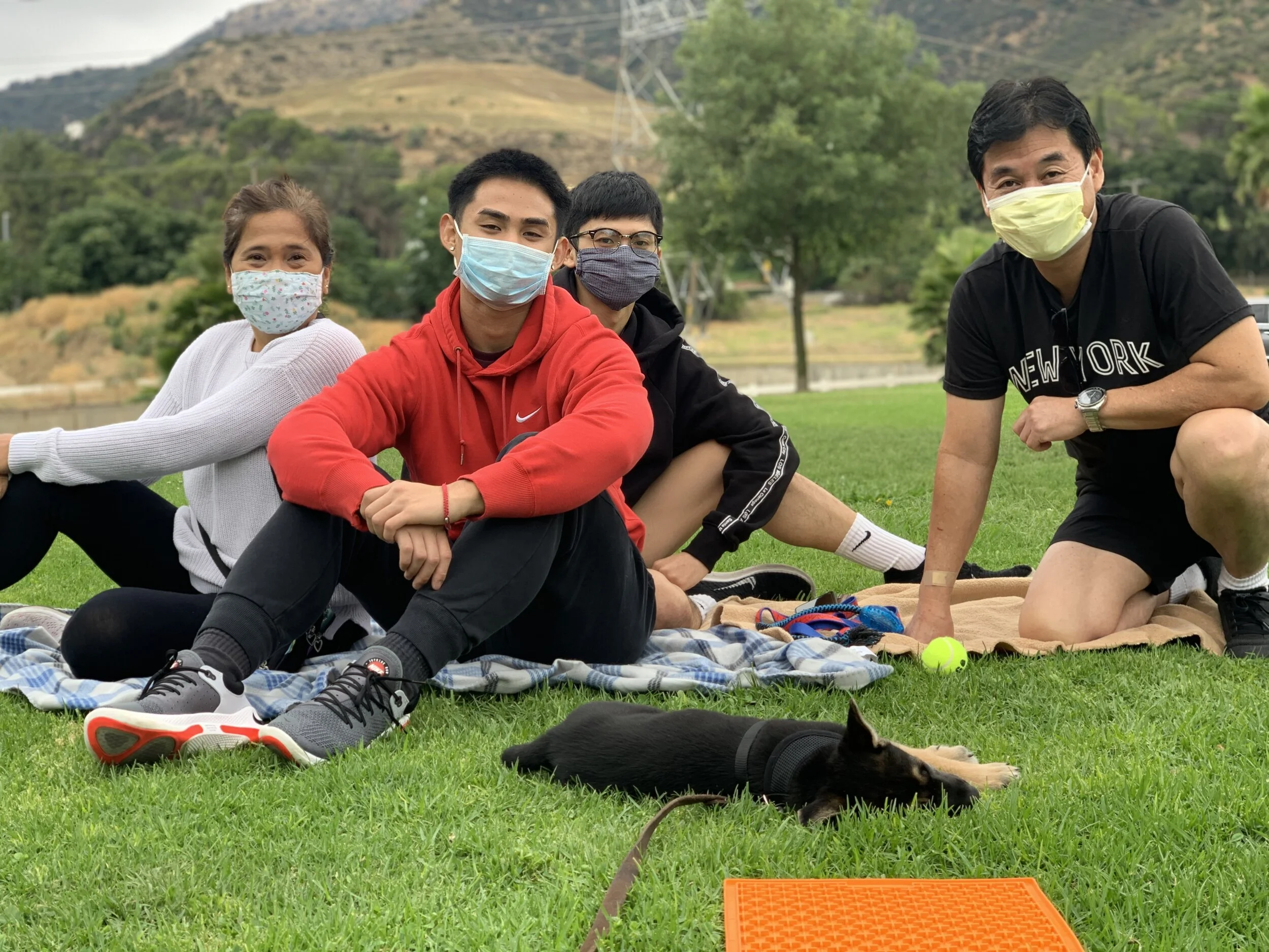 Local Dog Training and Obedience Classes