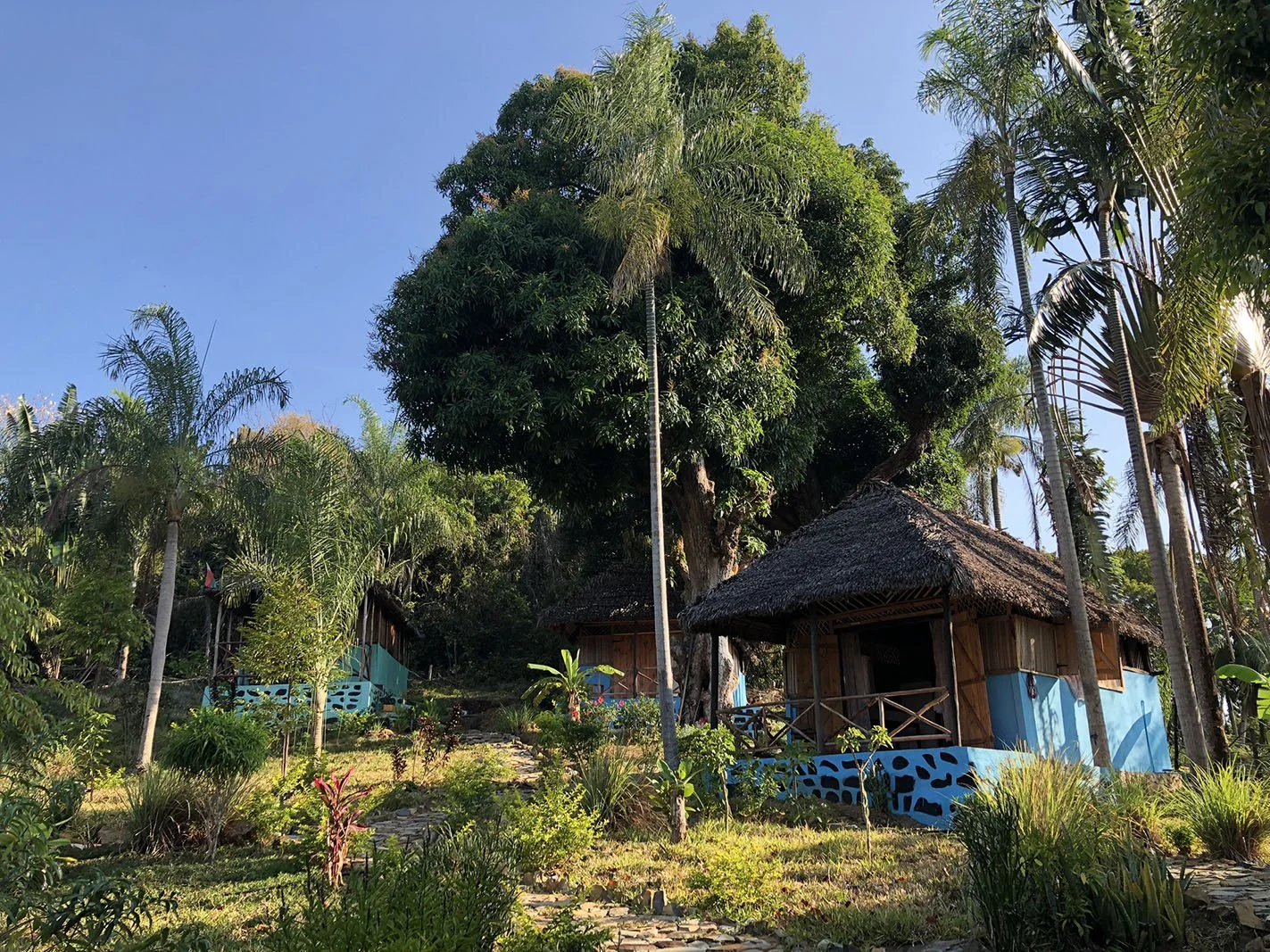 Lokobe Jungle Camp Madagascar — MadagasCAT