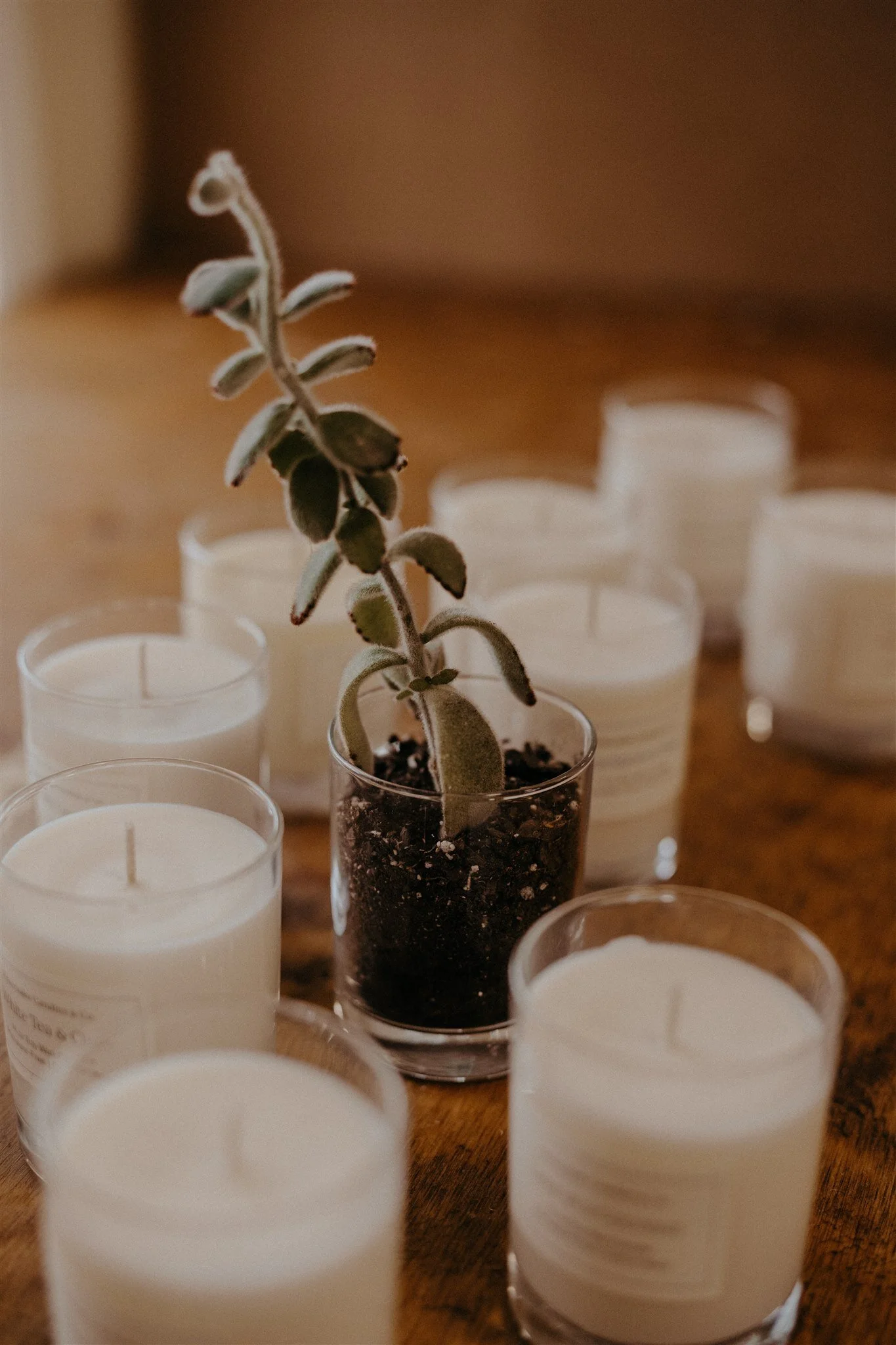 Peacesake Candles & Co.