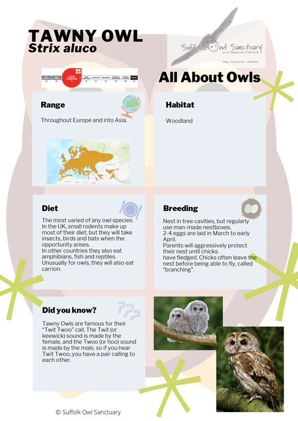 All About Owls Fact Sheets — Suffolk Owl Sanctuary