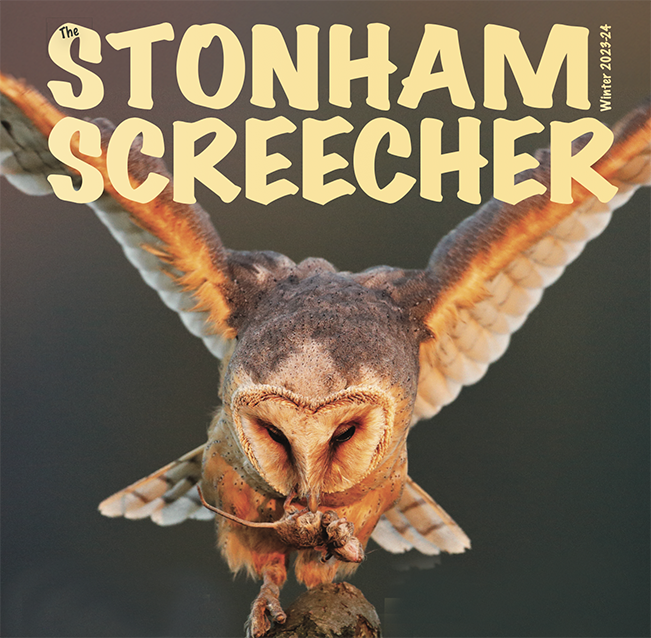 Suffolk Owl Sanctuary