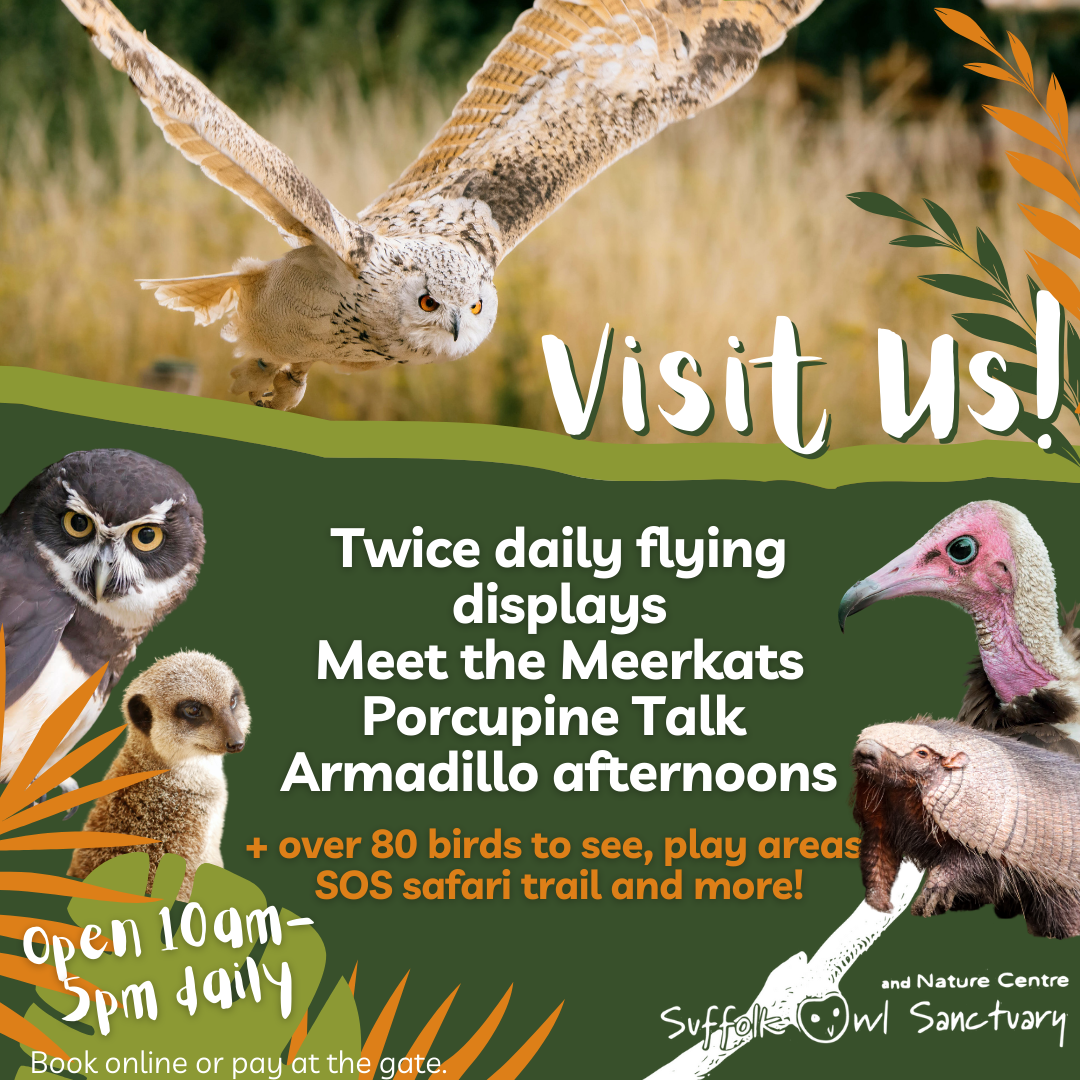 Suffolk Owl Sanctuary