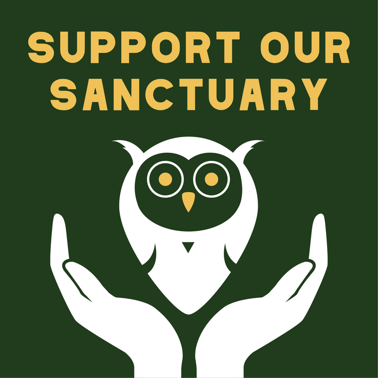 Suffolk Owl Sanctuary