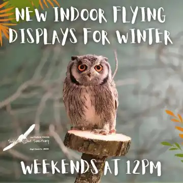 Suffolk Owl Sanctuary