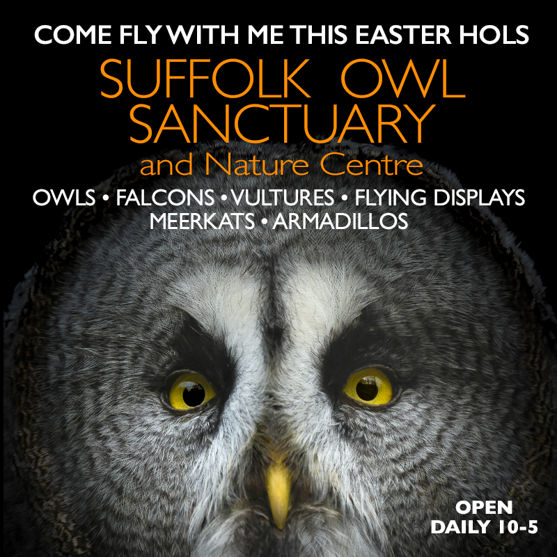 Owl Awareness Day — Suffolk Owl Sanctuary