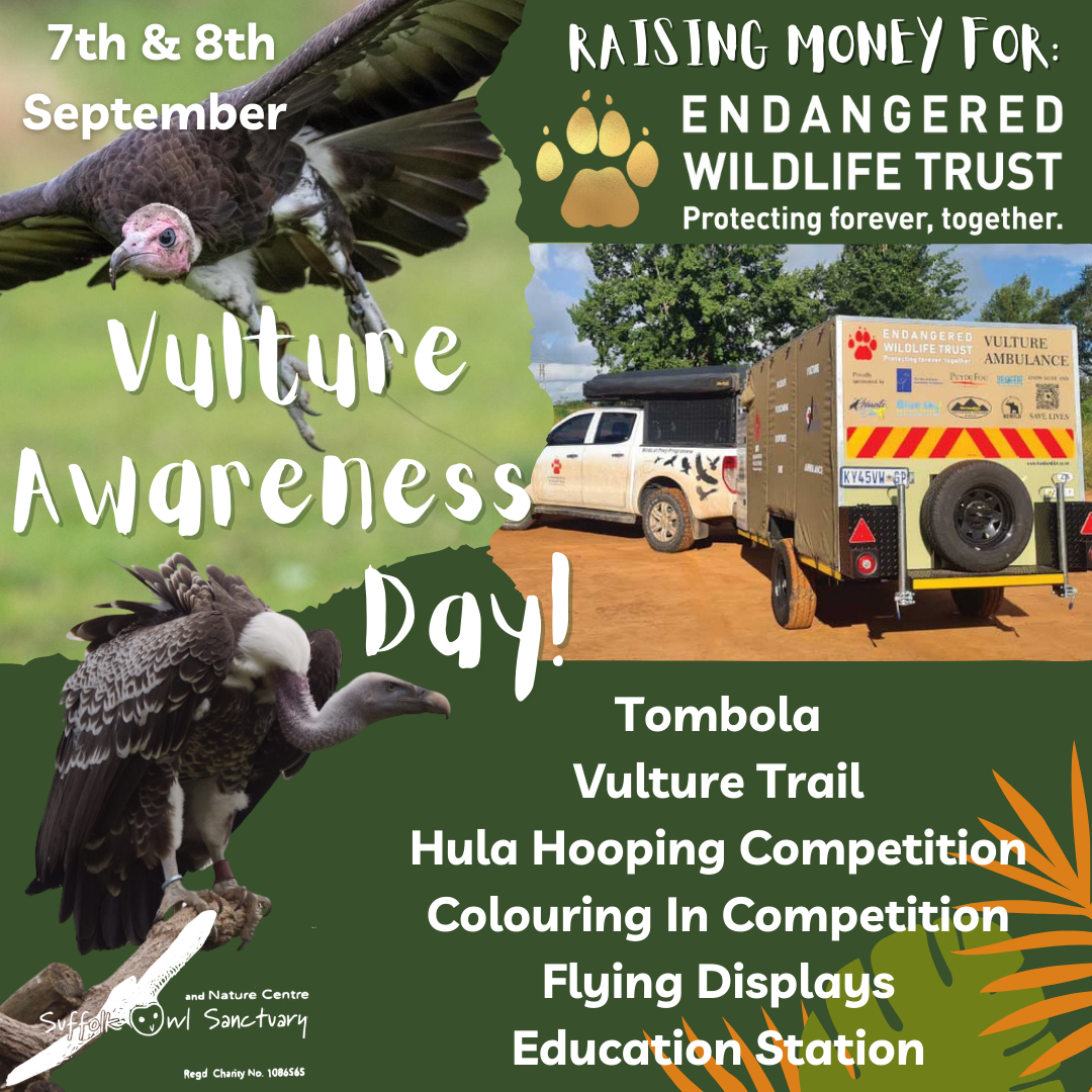 International Vulture Awareness Day — Suffolk Owl Sanctuary