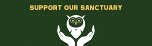 Save Our Sanctuary — Suffolk Owl Sanctuary