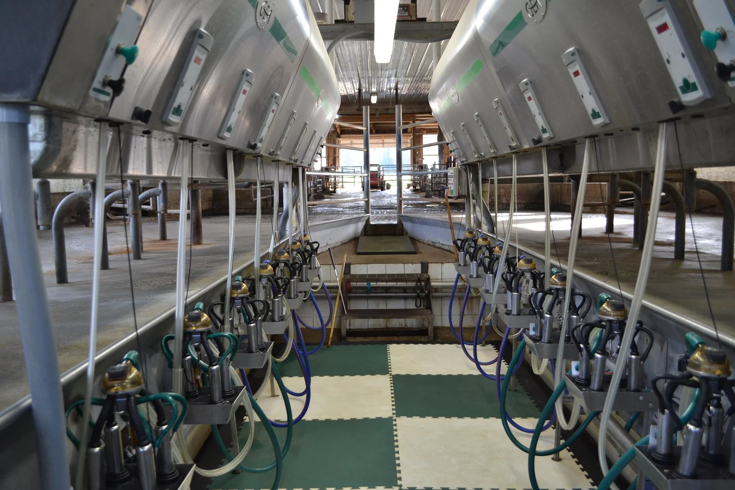 Our Milk — Mapleline Farm