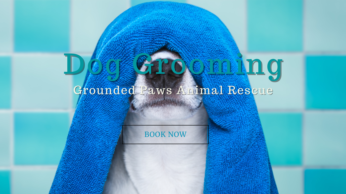 Grounded Paws Animal Rescue Inc.