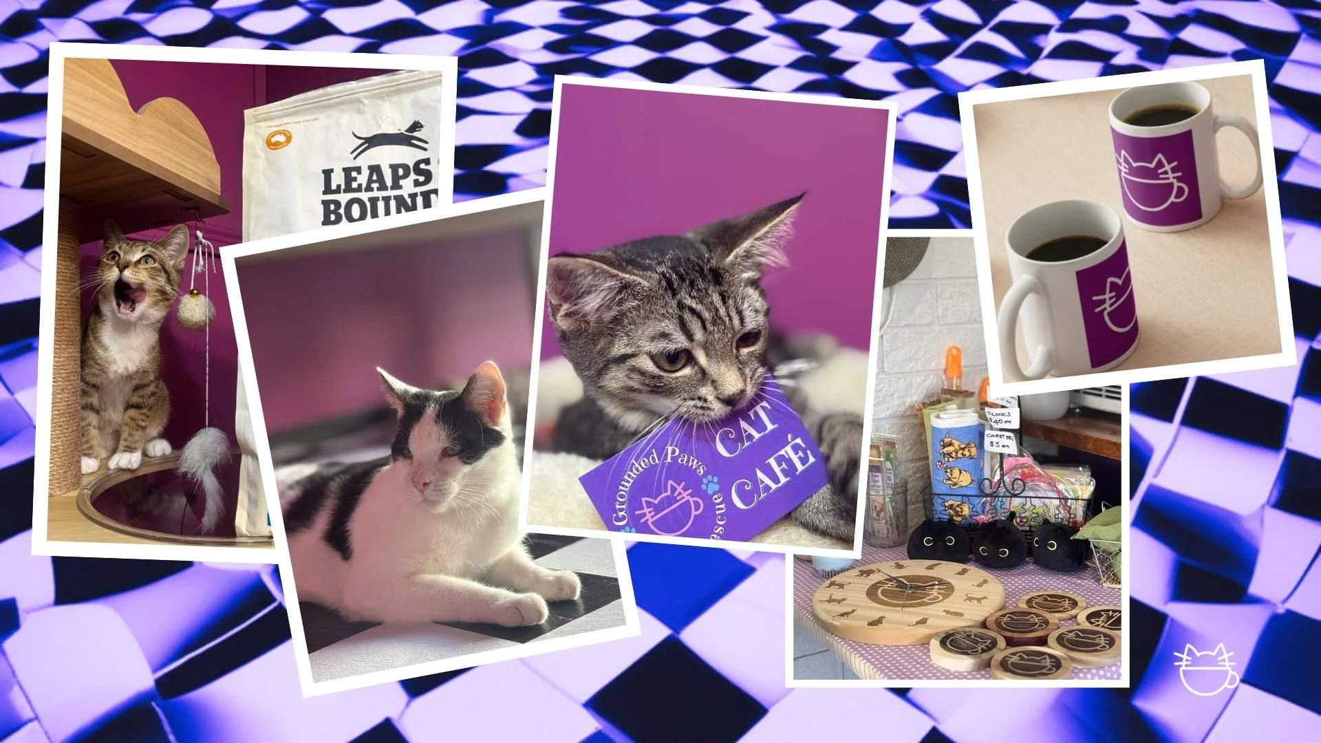 Grounded Paws Animal Rescue Inc.