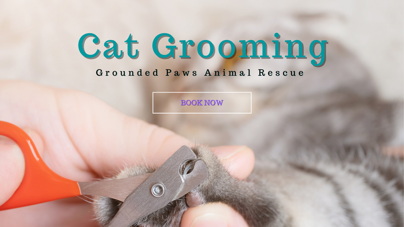 Grounded Paws Animal Rescue Inc.