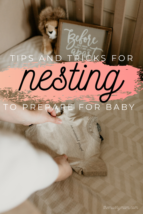 What to Nest When You're Nesting — The Mushy Mom's Fiat