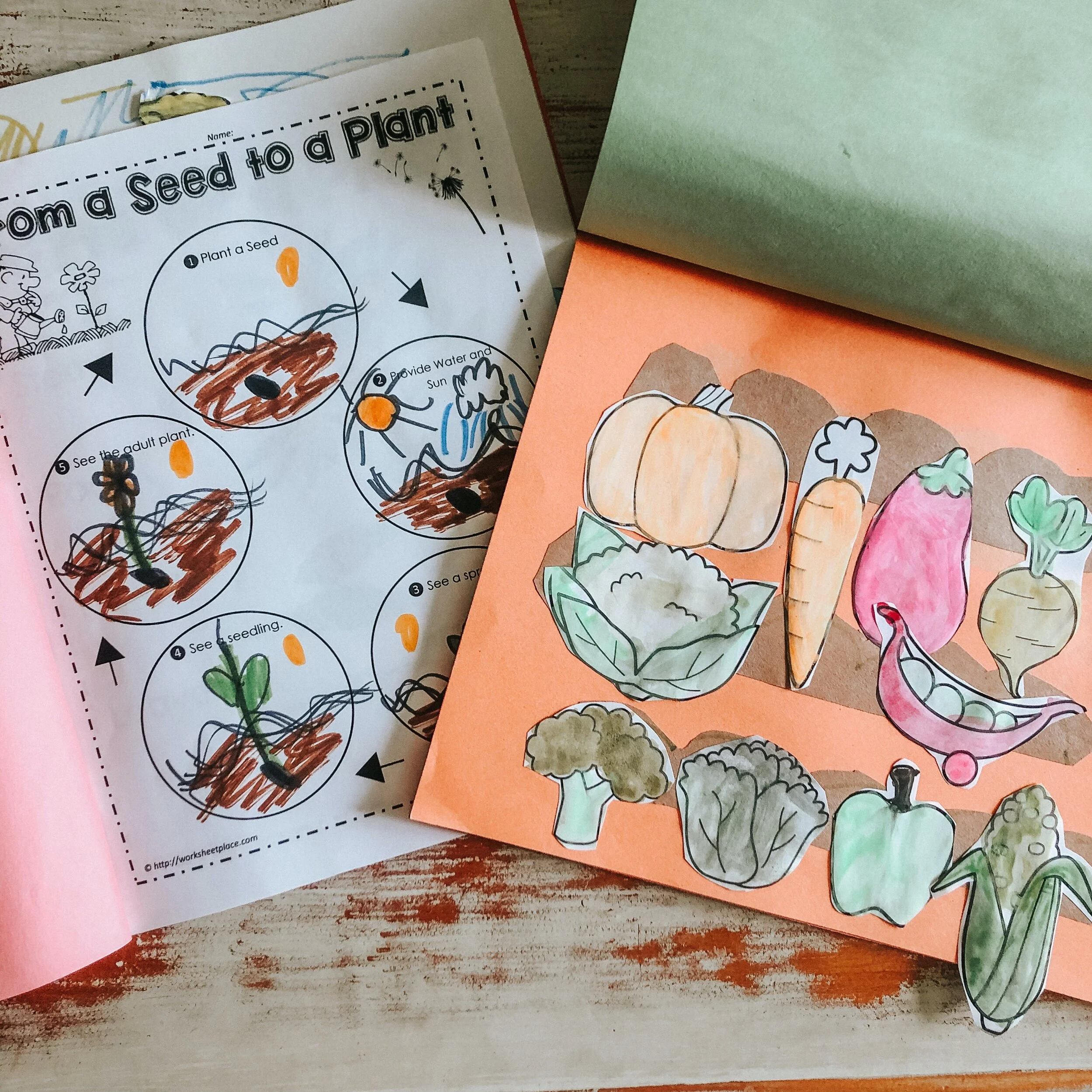 Kid's Garden Journal Activity — The Mushy Mom's Fiat