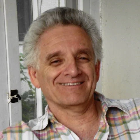 Life Fellows — ISRA