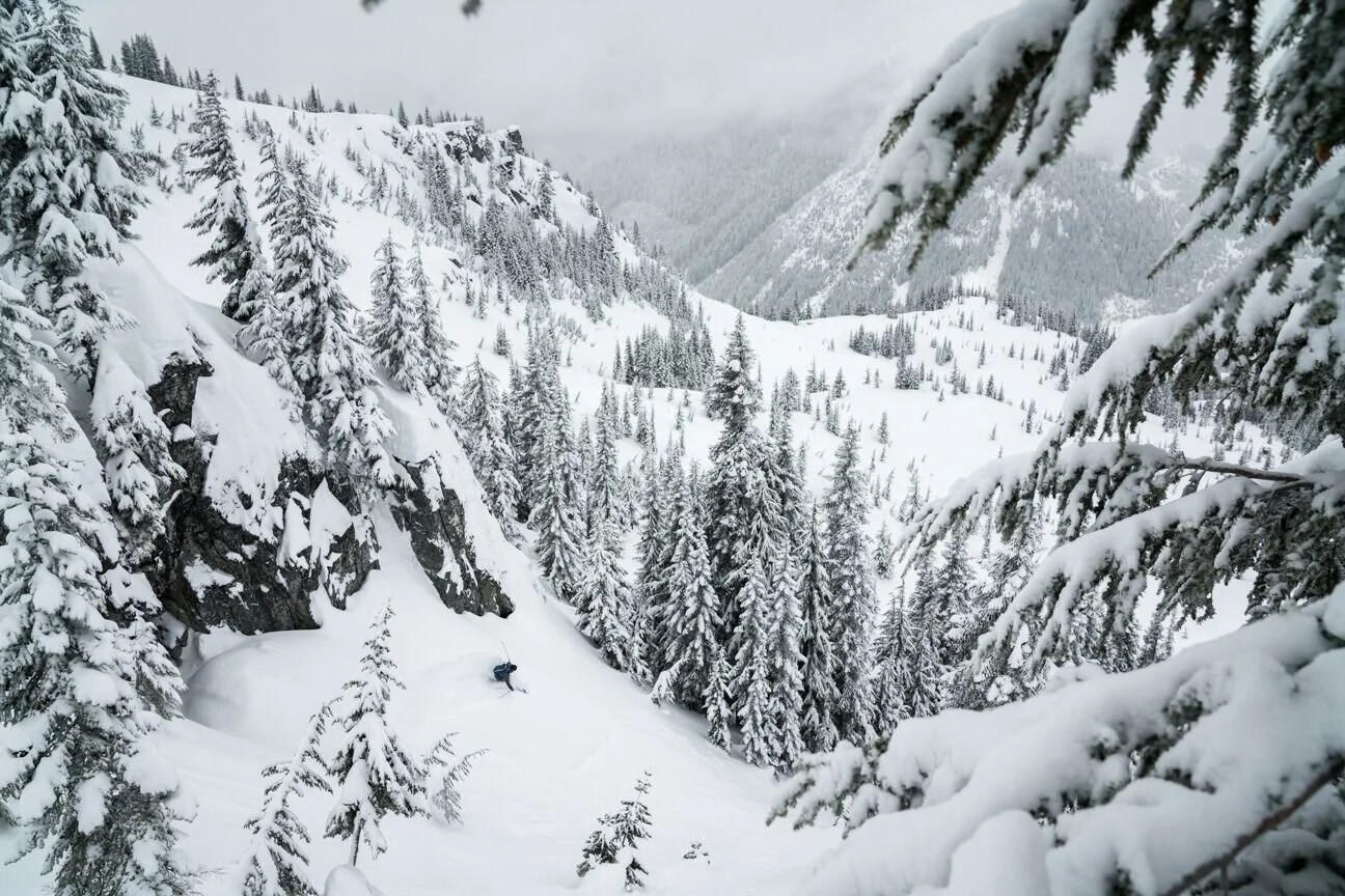 Cascade Powder Guides - Cascade Powder Cats