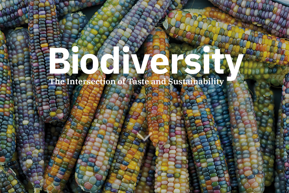 Biodiversity — The Future Market