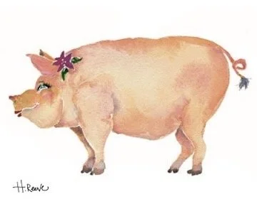 Pua the Pua'a Notecards — Sherri Reeve Gallery and Gifts