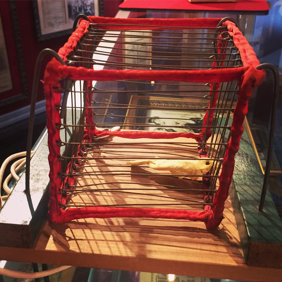 New York Magic | The Magic Circle Triple Crown Champion