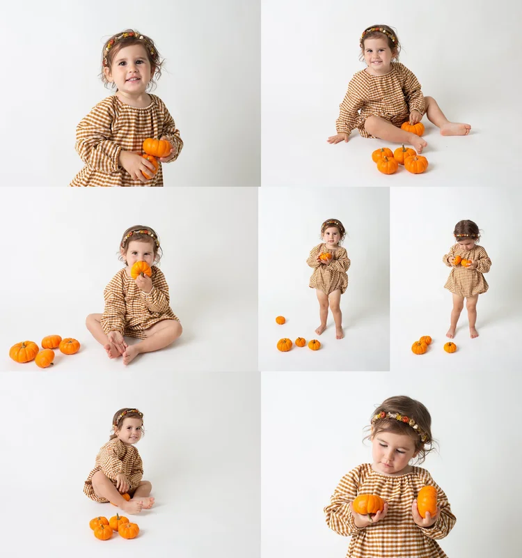PUMPKIN SEASON — Barbara Gass Photography