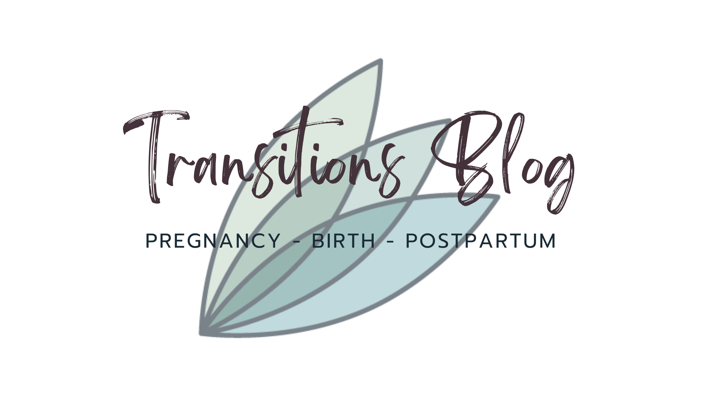 Embrace the Journey of Motherhood with Postpartum Doula Services — Transitions: Doula and Life ...