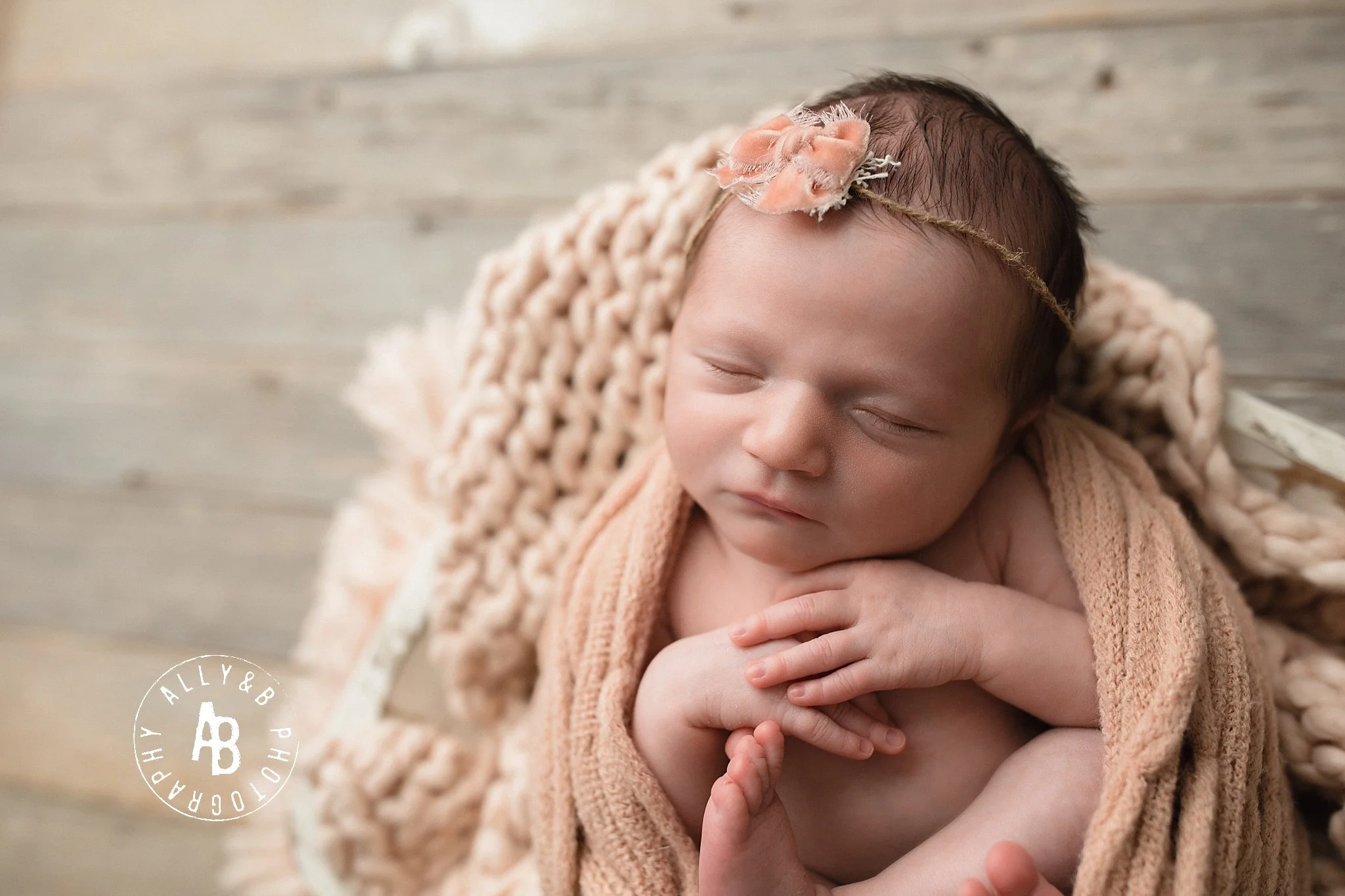 Ally & B Photography | Naperville Newborn Photographer | Naperville ...