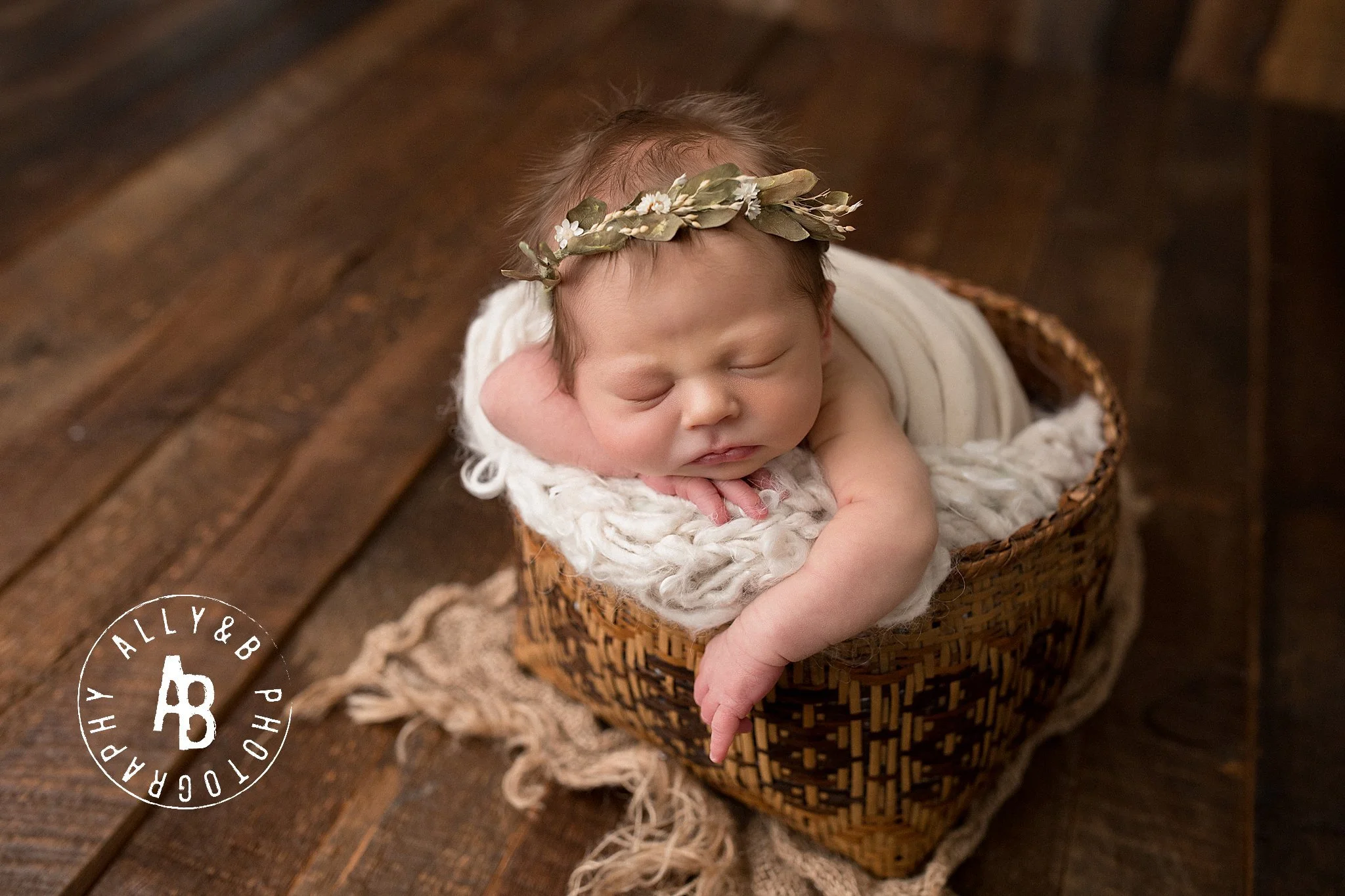 Ally & B Photography | Naperville Newborn Photographer | Naperville ...